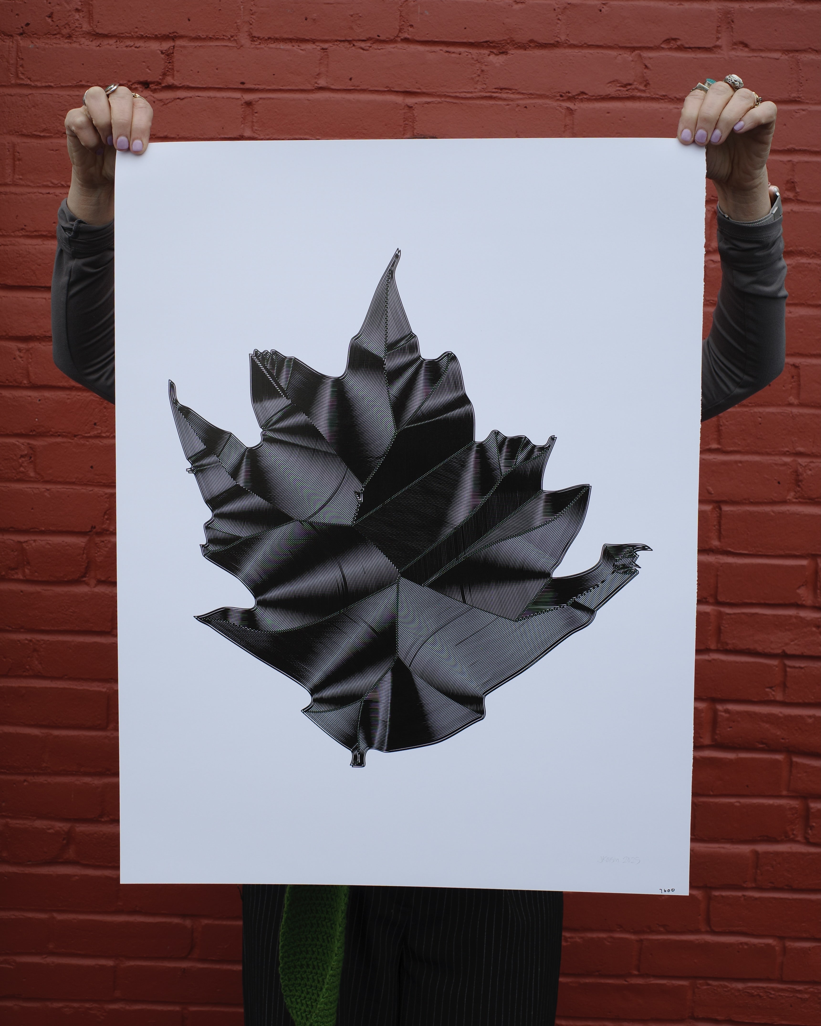 Jenn Karson | Lifelines 7600 – Bantam Tools